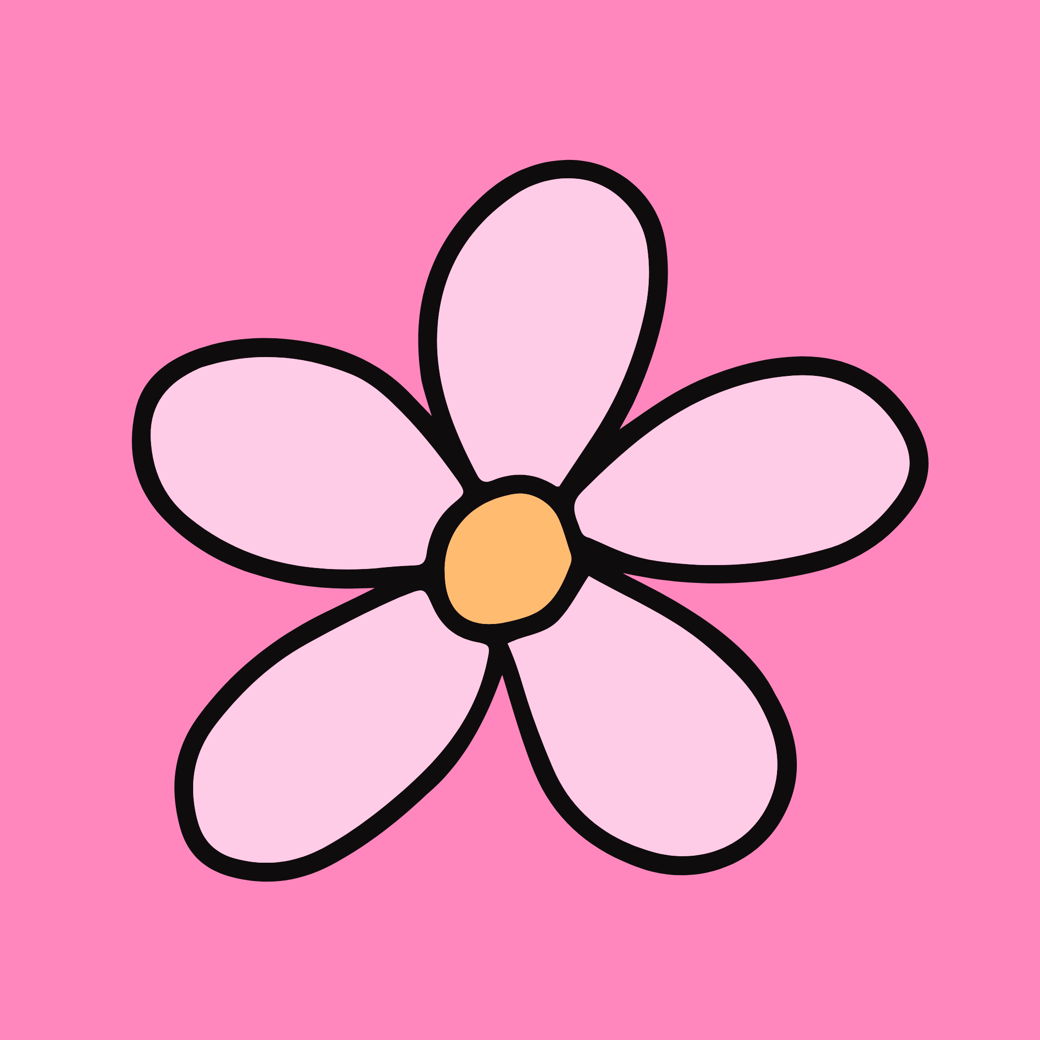 lash shark.com – Lash Shark